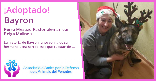 ADAP Penedès - Adopción de Bayron