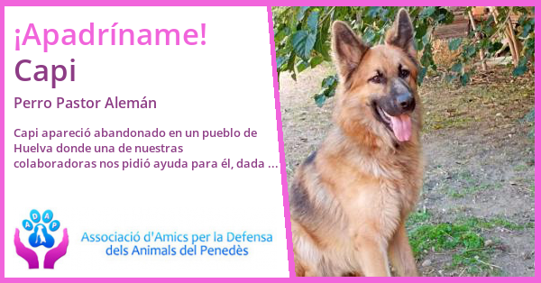 ADAP Penedès - Ficha de Capi