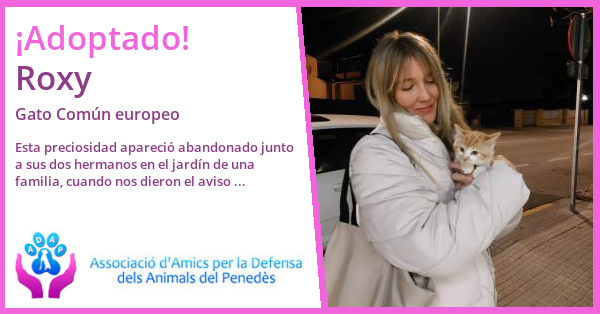 ADAP Penedès - Adopción de Roxy