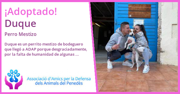 ADAP Penedès - Adopción de Duque