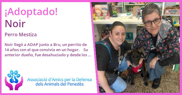 ADAP Penedès - Adopción de Noir
