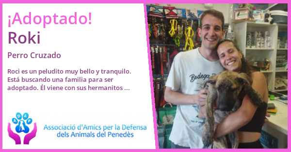 ADAP Penedès - Adopción de Roki