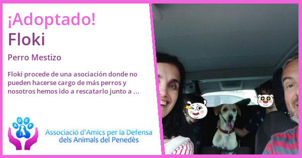 ADAP Penedès - Adopción de Floki